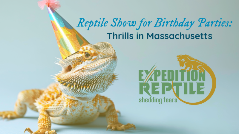 Reptile Show for Birthday Parties in Massachusetts